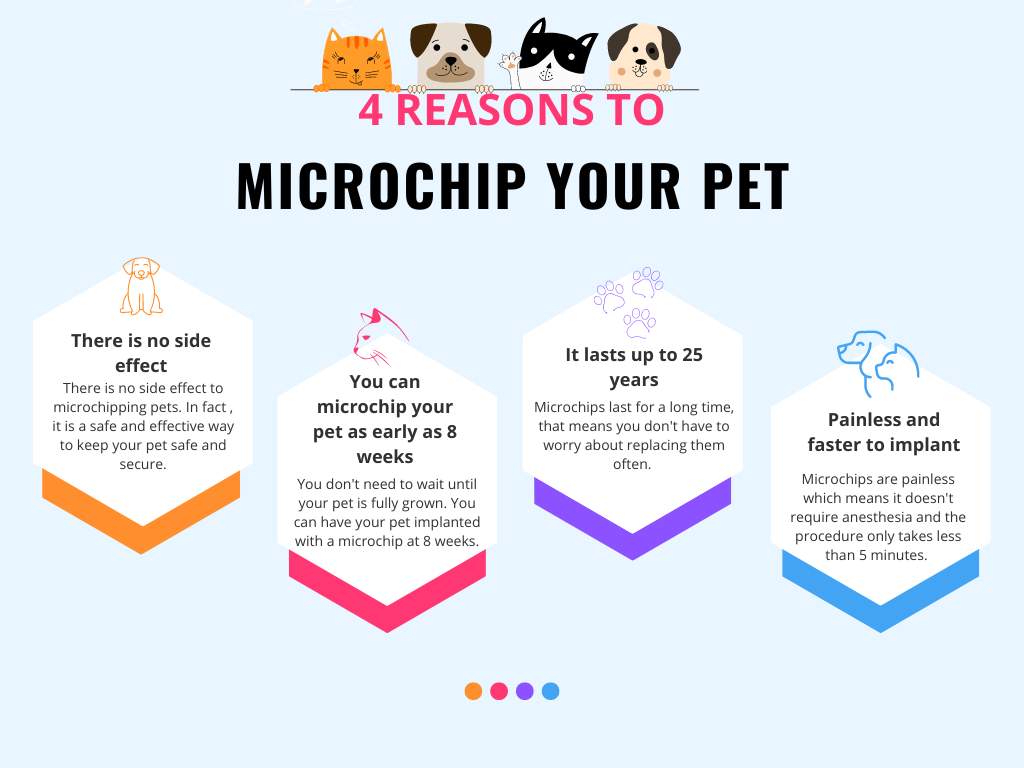 A Complete Guide to Microchipping for Pet Safety | Greystanes Vet