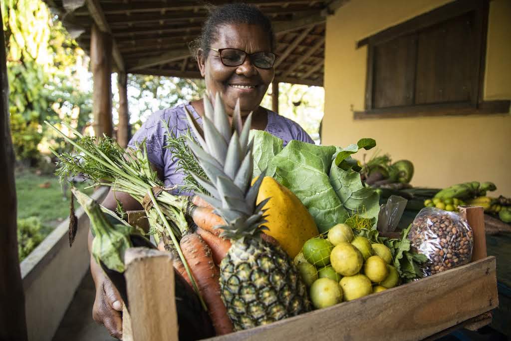 Parceria entre Suzano e Monkey atinge R$ 1 bilhão em recursos ...