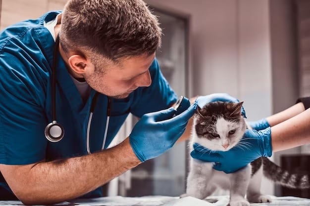 What the Internet Won't Tell You About Veterinary Technician Resume?