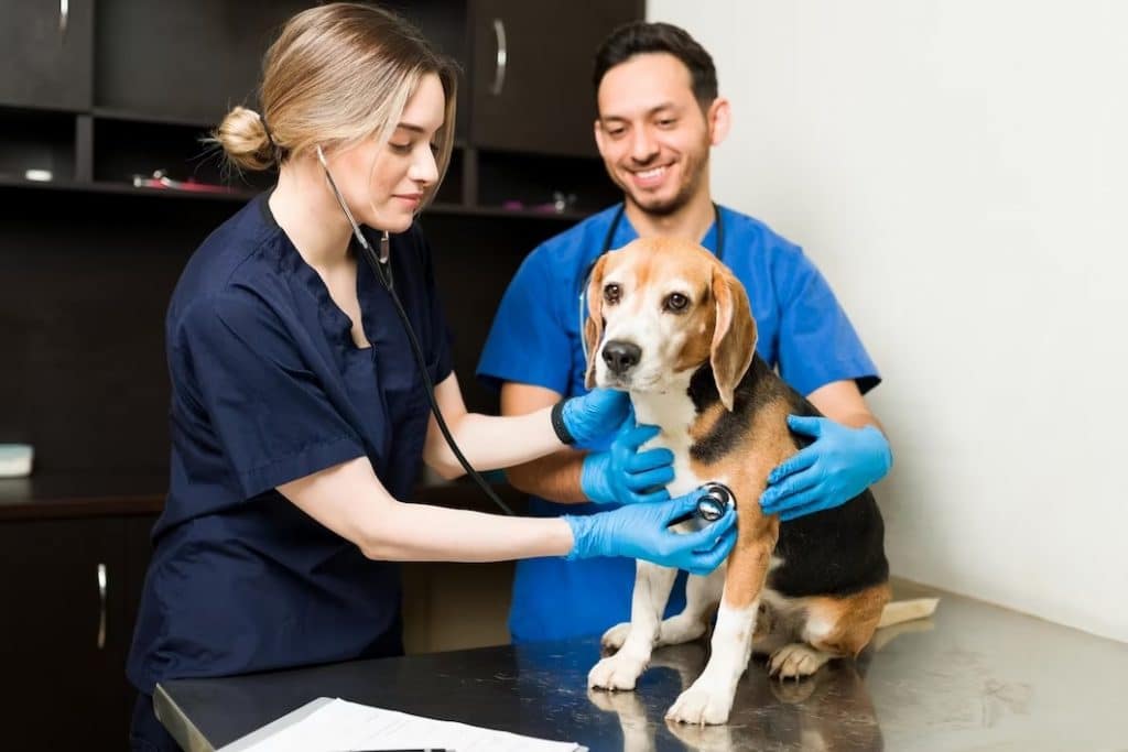 What the Internet Won't Tell You About Veterinary Technician Resume?