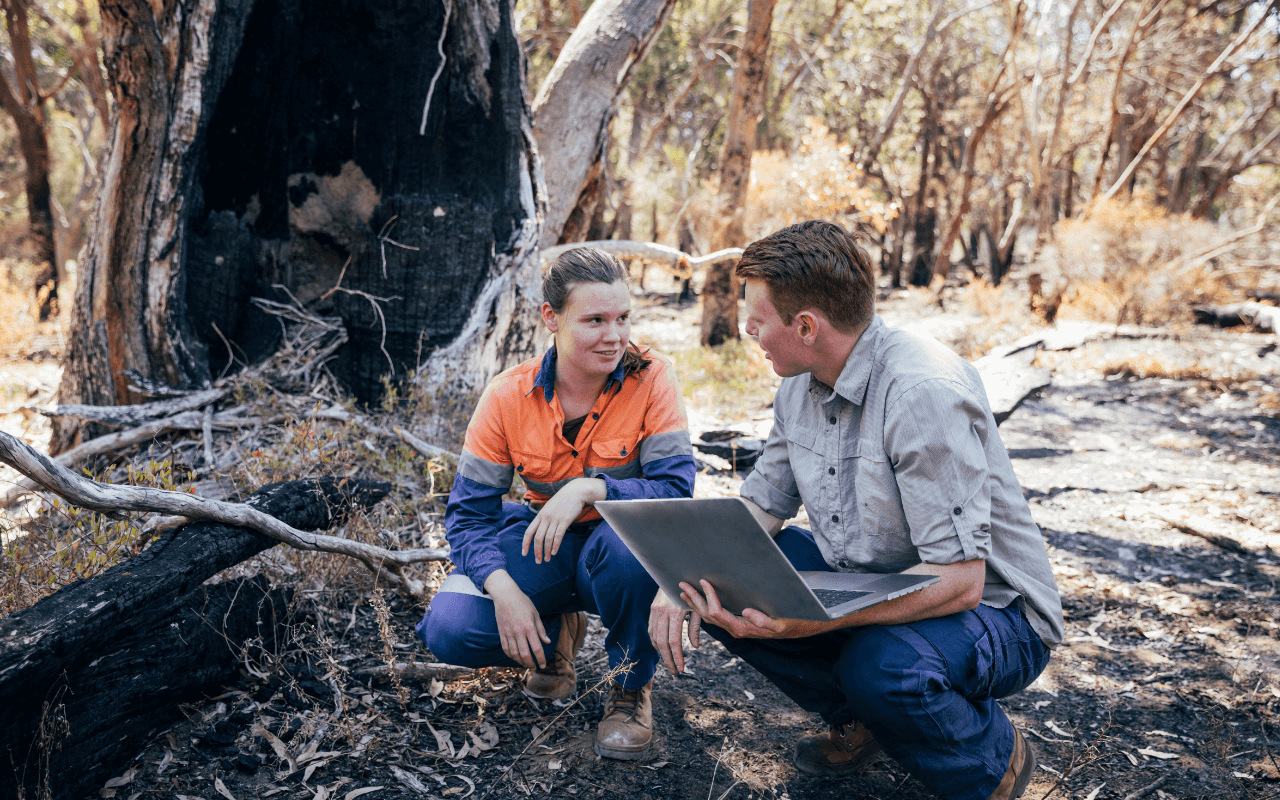 Sample Environmental Resumes