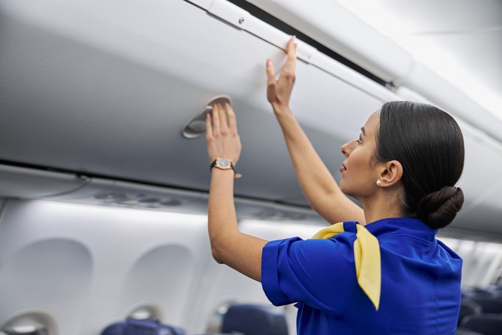 Comprehensive Guide & Templates for Aircraft Cleaner Cover Letters