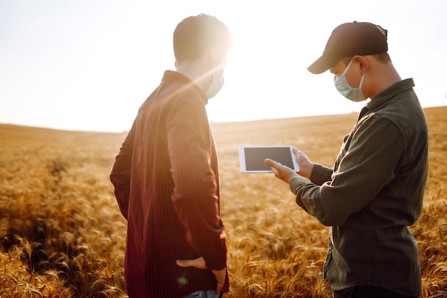 Mastering Your Field Inspector CV: A Comprehensive Guide to CV ...