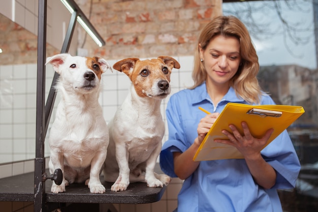 Creating a Winning CV for an Entry-Level Kennel Assistant: A Template Guide