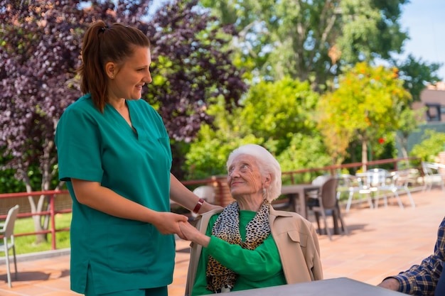 Crafting an Effective Entry-Level Primary Caregiver CV: A Comprehensive ...