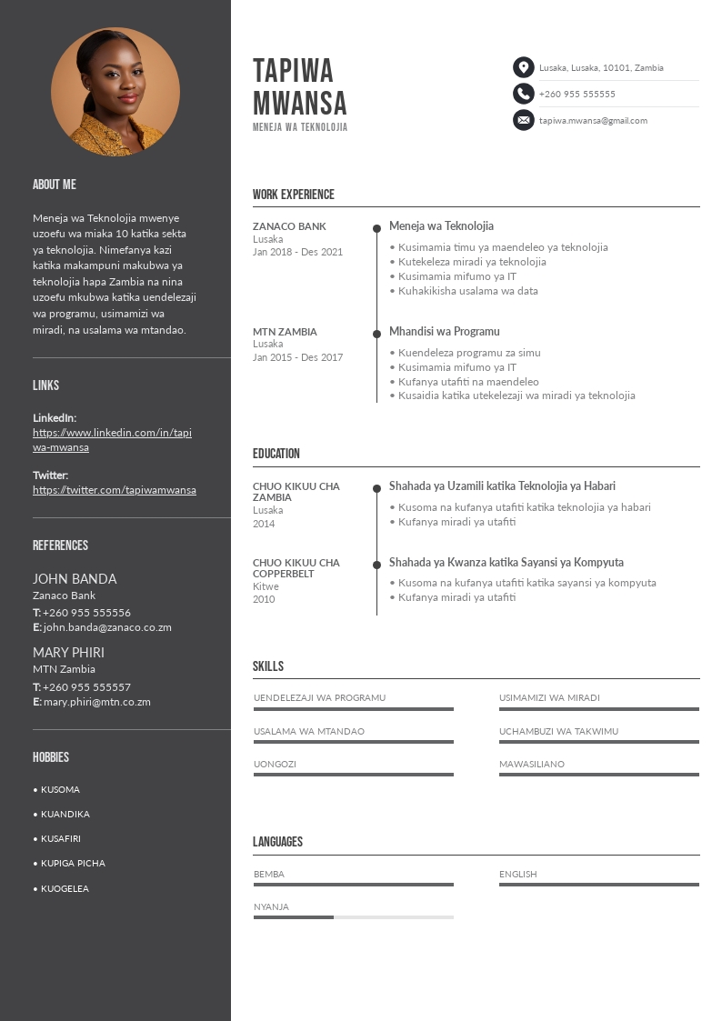 Mastering the Art of Writing a CV and Job Application in Zambia