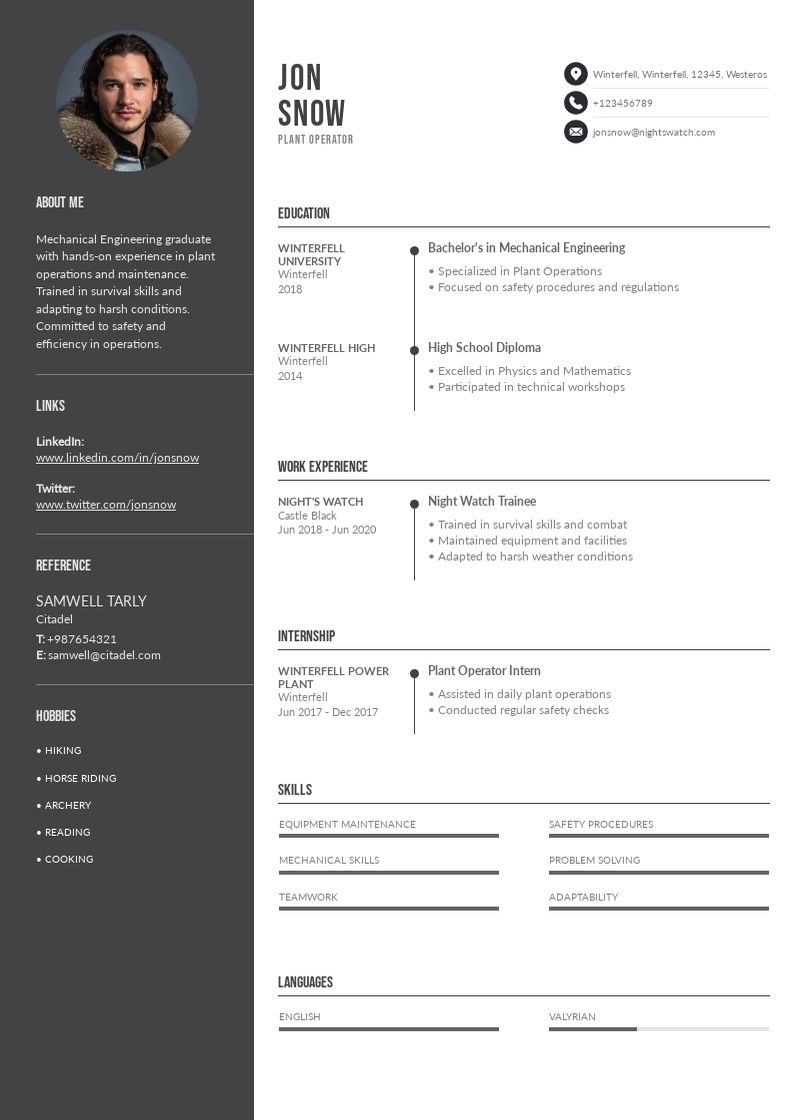 Mastering Your Entry-Level Plant Operator CV: A Comprehensive Template ...