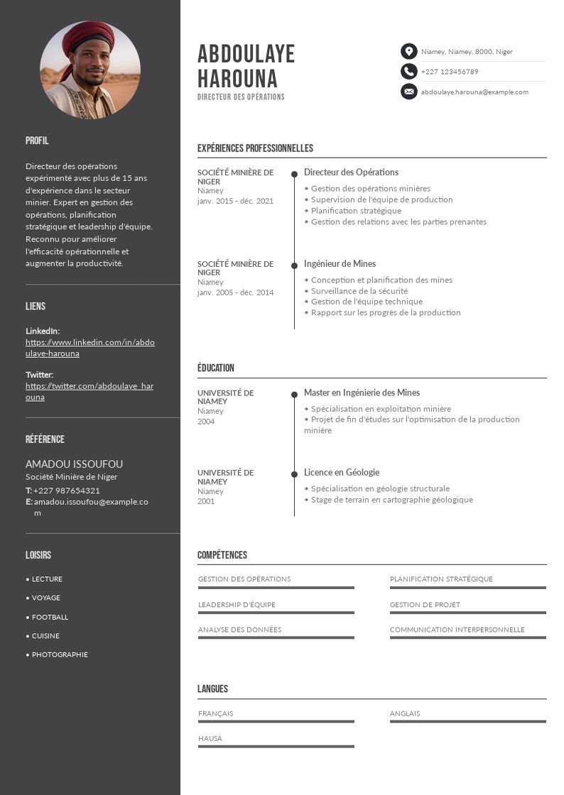 Creating an Effective CV and Job Application Strategies for the Niger ...