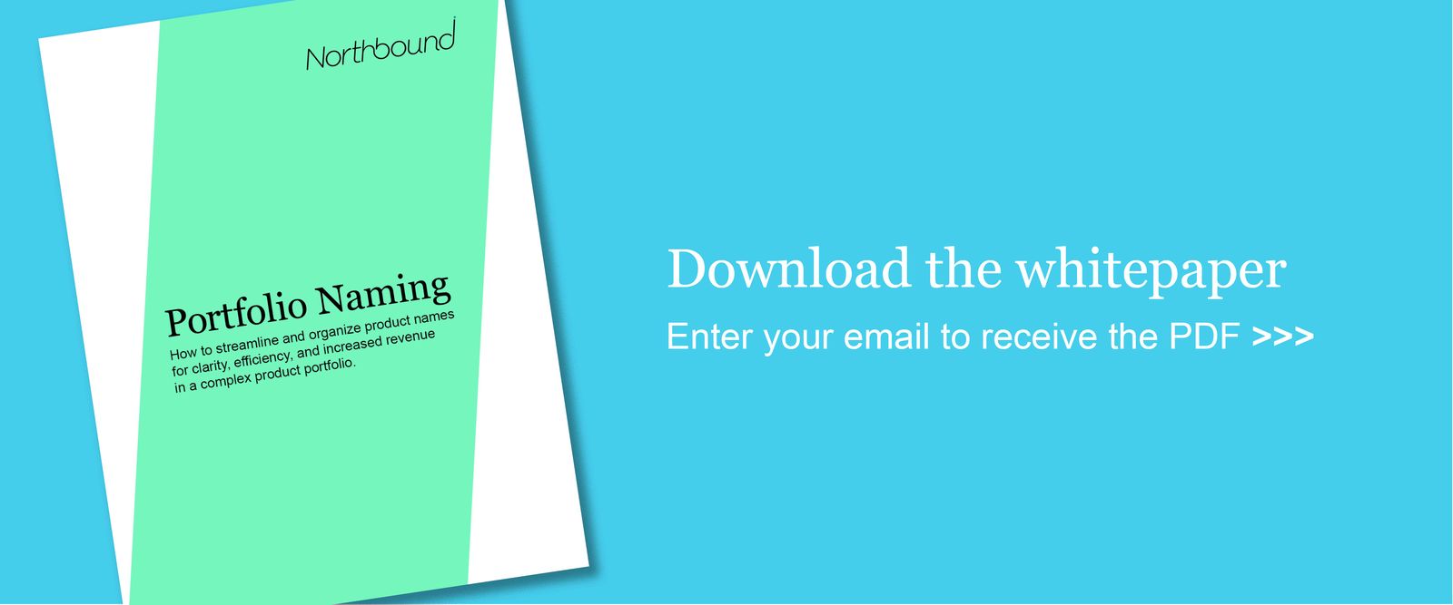 Mastering Portfolio Naming: Free Whitepaper Download | Northbound Brand