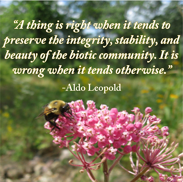 Understanding the Land Ethic | The Aldo Leopold Foundation