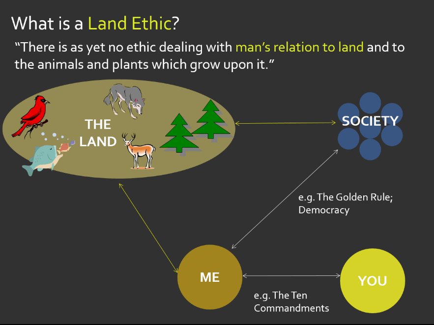 Understanding the Land Ethic | The Aldo Leopold Foundation