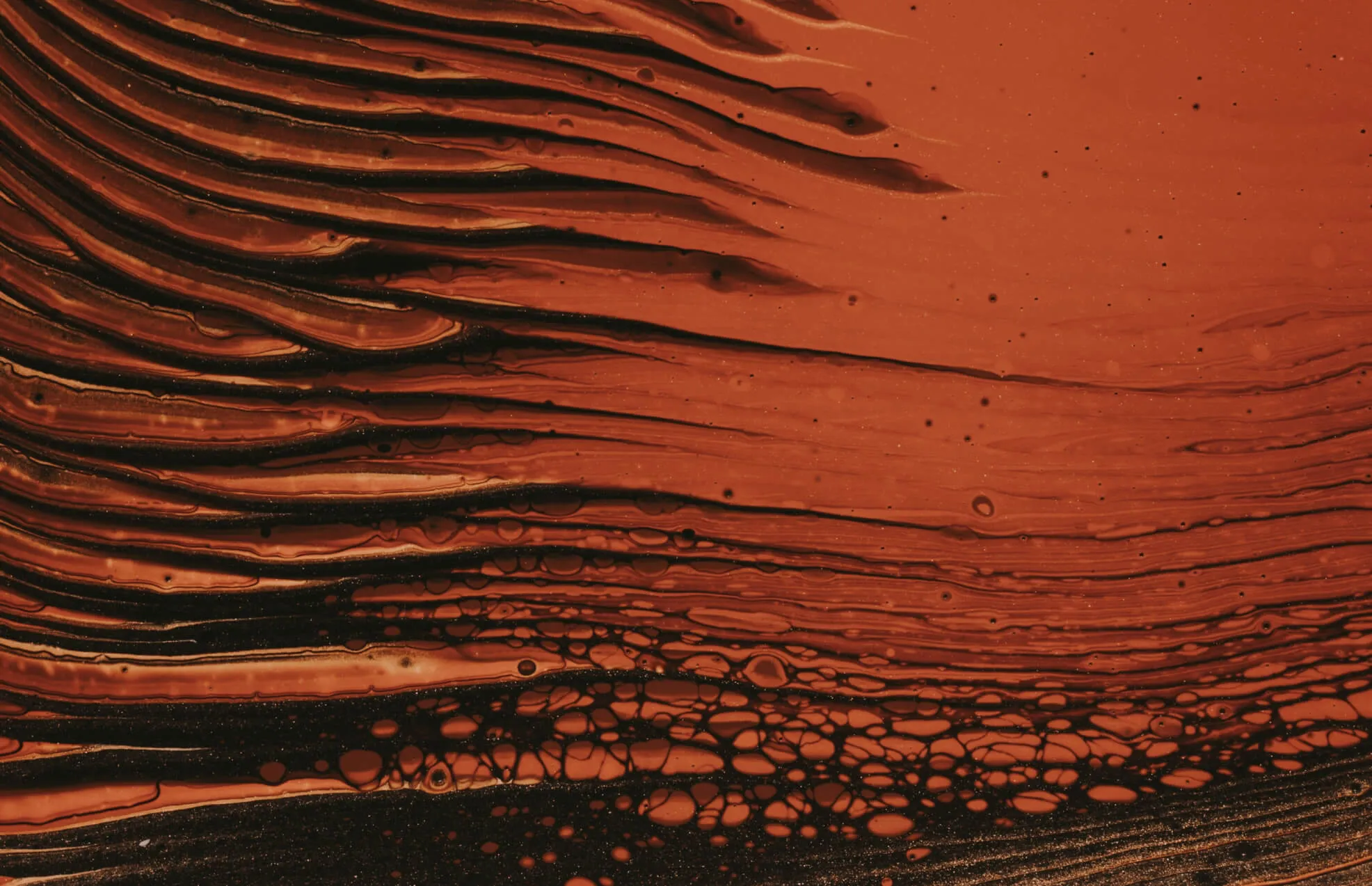 Premier Specialty Compounding Pharmacy | Strive Pharmacy