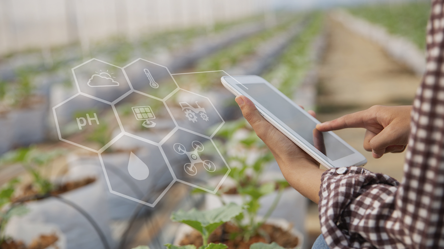 Digital technologies and innovation in smallholder agriculture can ...