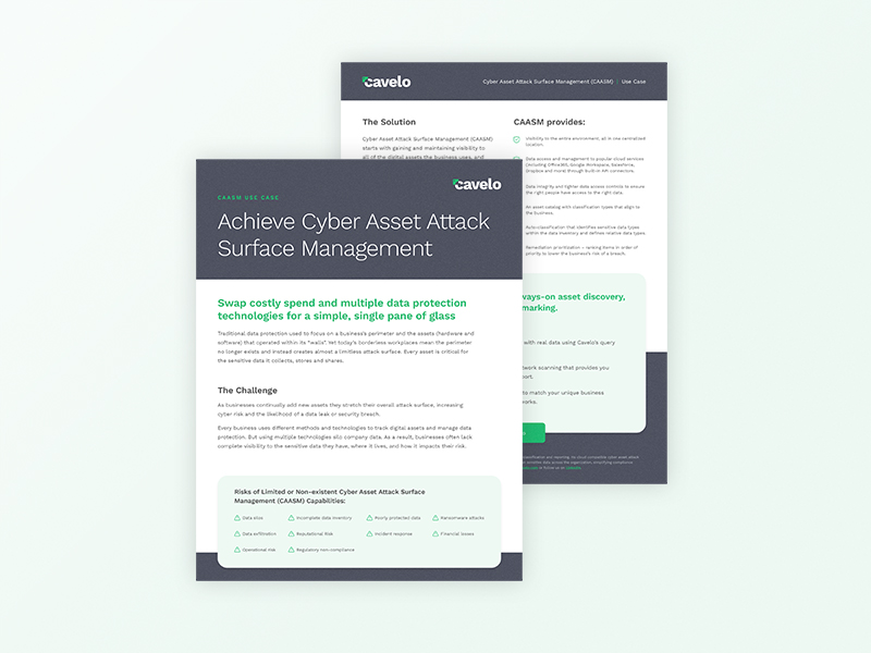Achieve Cyber Asset Attack Surface Management