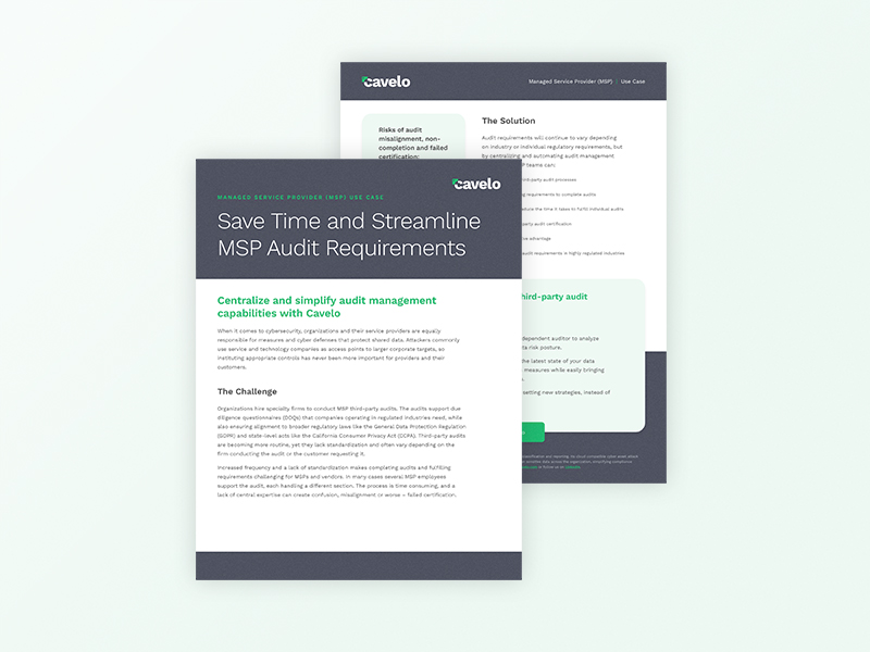 Save time and streamline MSP audit requirements
