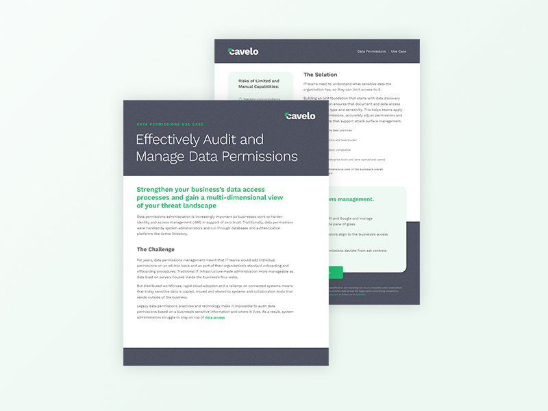 Effectively audit and manage data permissions