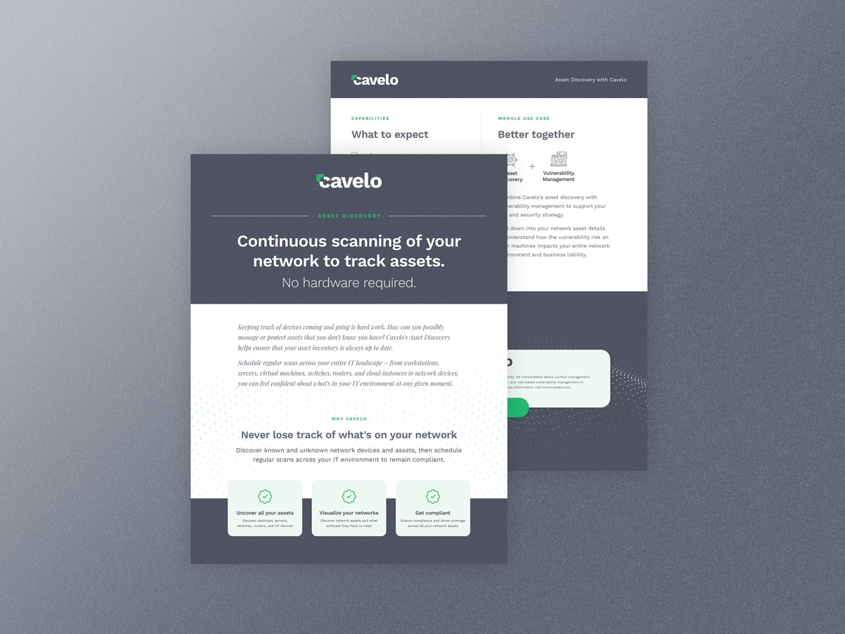 Asset Discovery with Cavelo