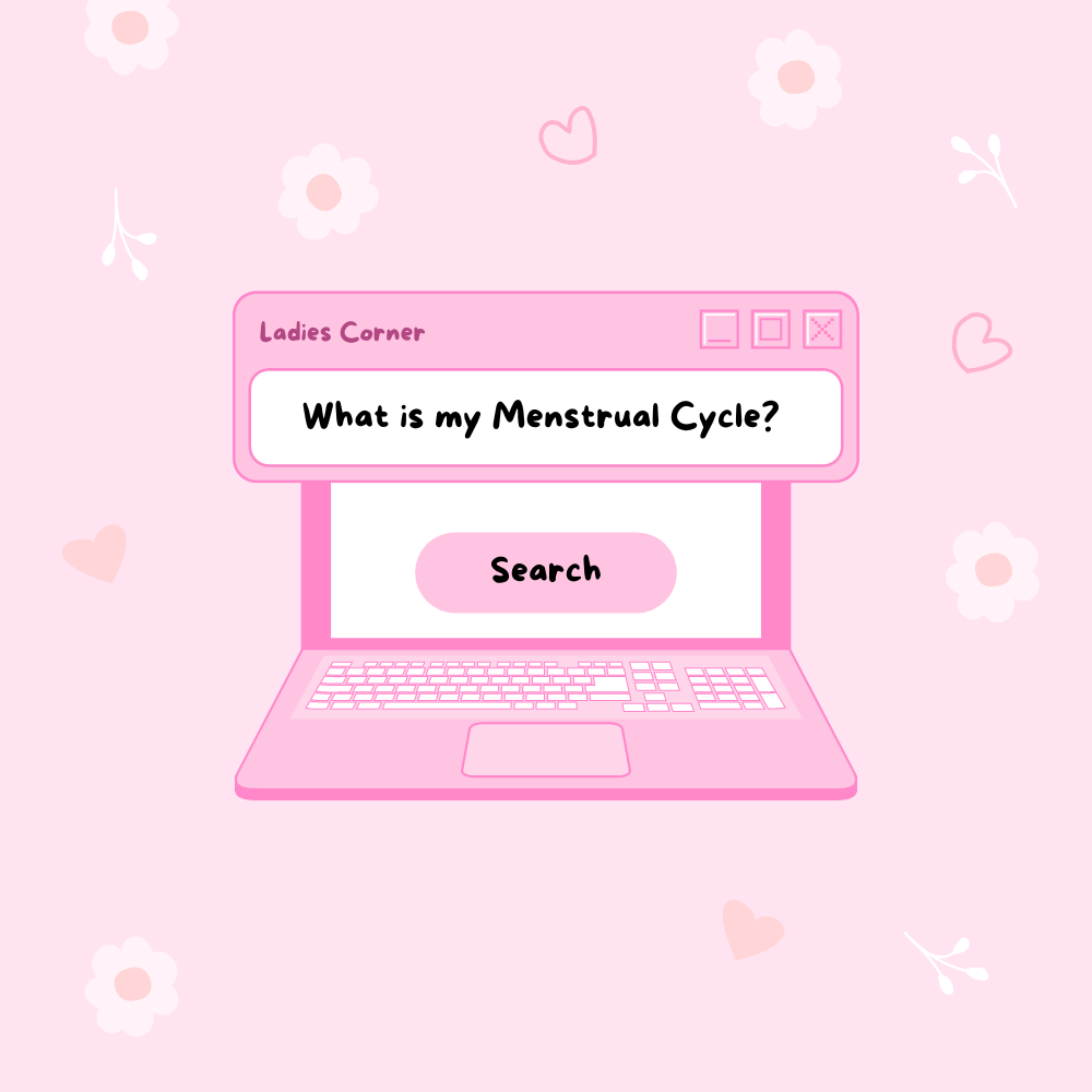 What are the Four Phases of the Menstrual Cycle?‍