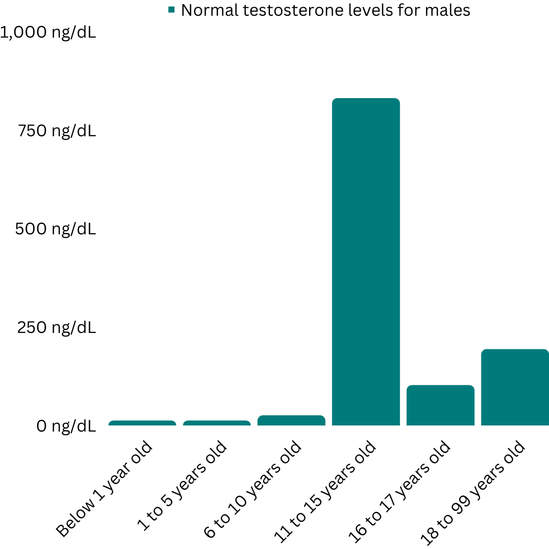 What is Testosterone?