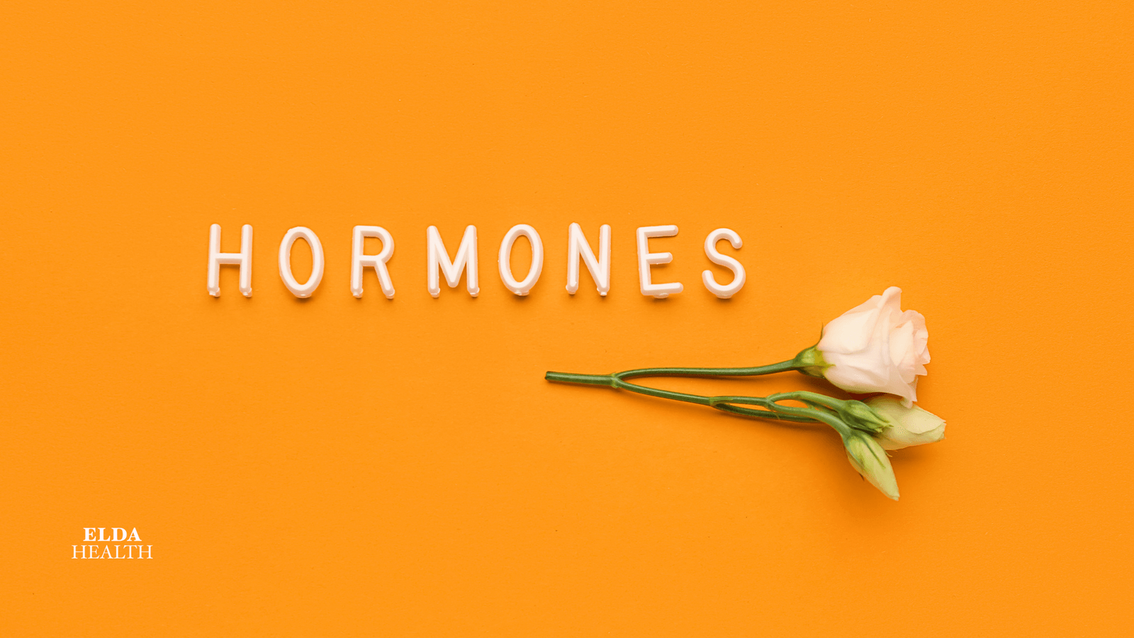 How to Balance Your Hormones for a Happy Gut During Menopause