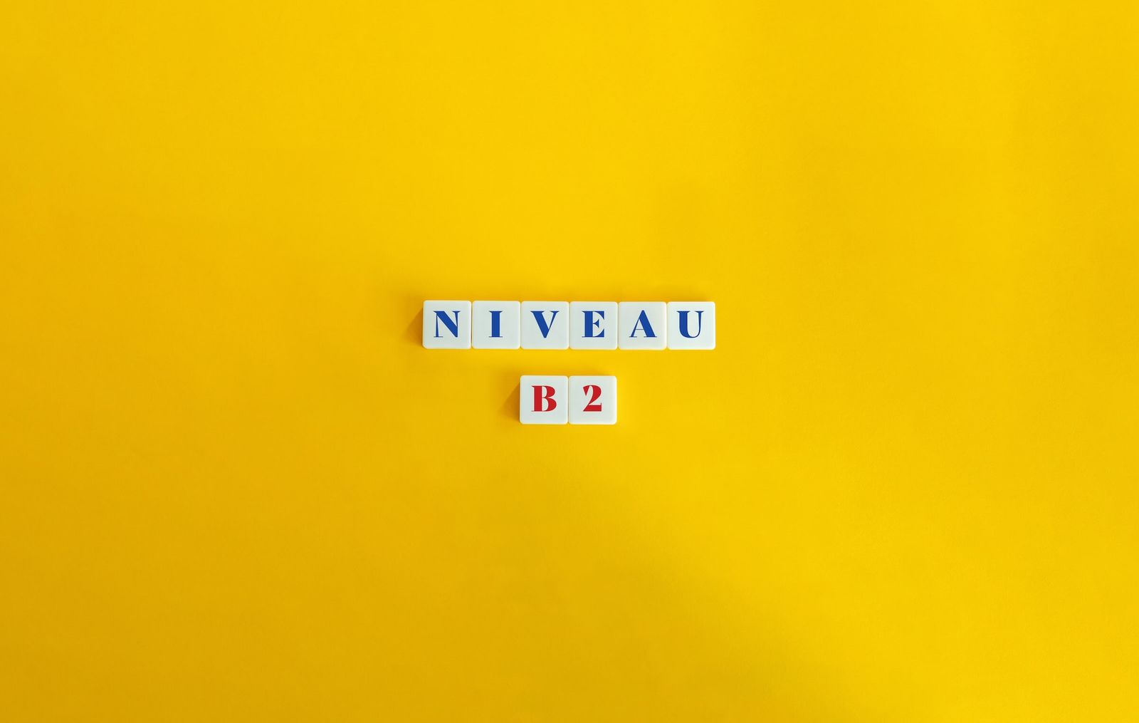 What are the DELF B2 speaking topics?