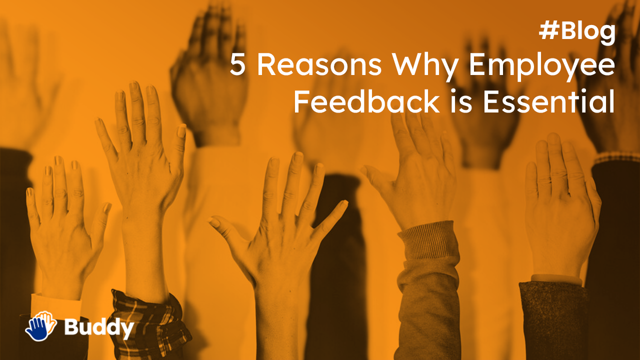 Buddy | Importance of Feedback |5 Reasons Why Employee Feedback is ...