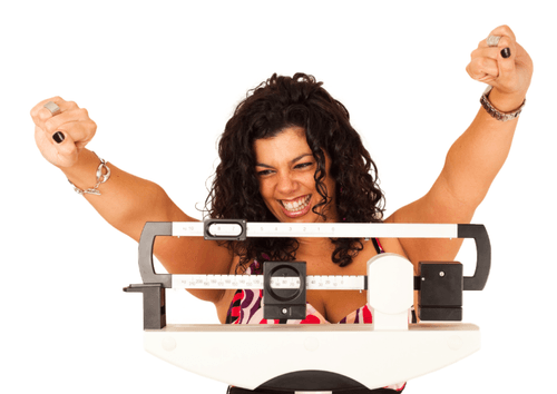 Hello Alpha | Trestle Tree