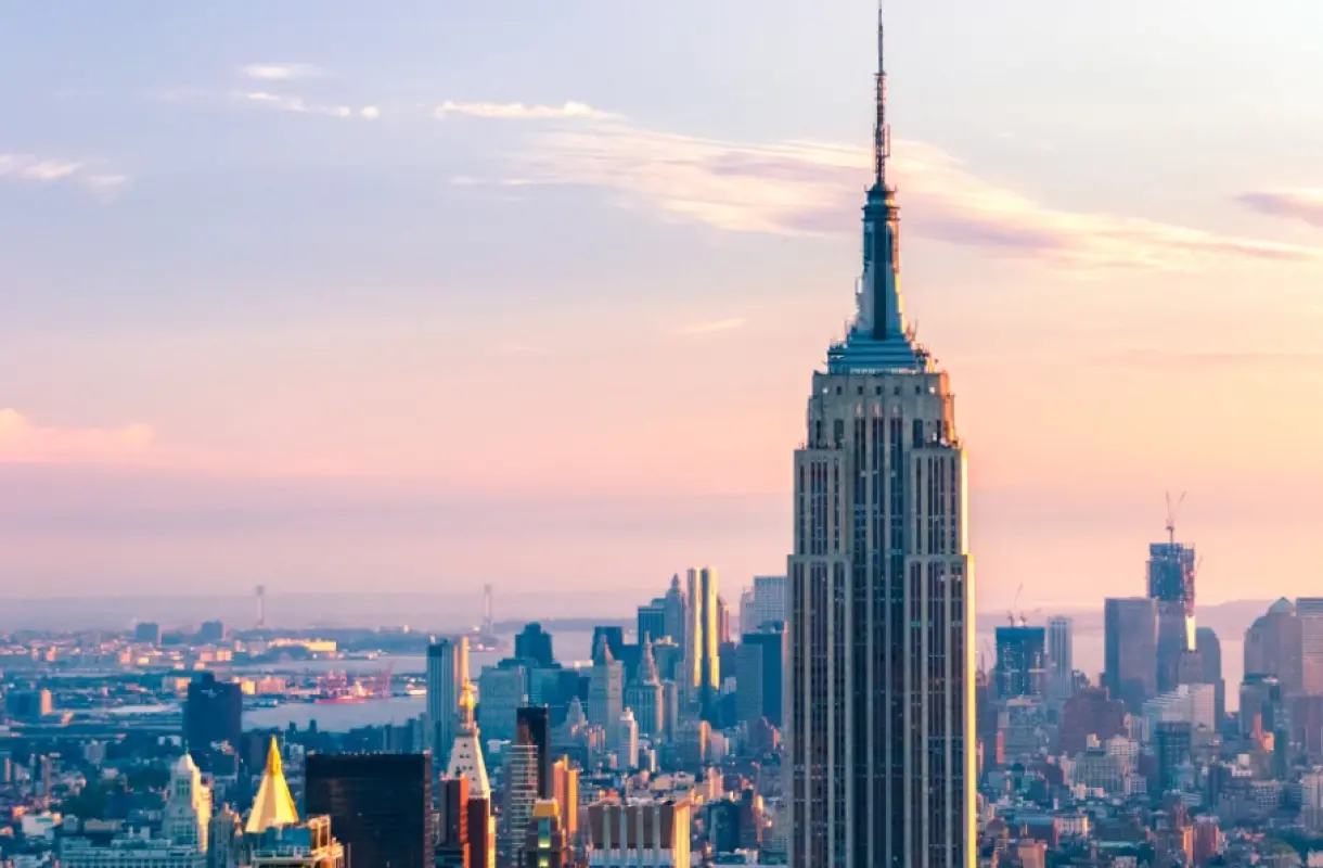 Red Fox Technology Services