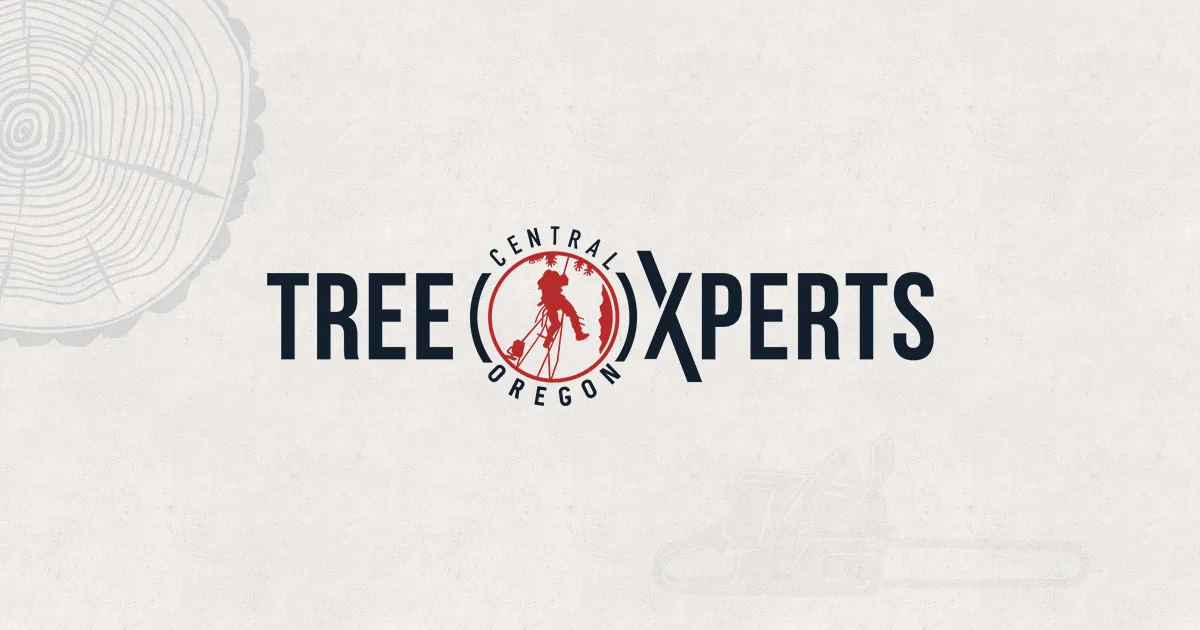 Central Oregon Tree Experts | Tree Service in Bend, OR