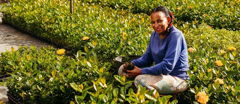 ARGO - Development Partners