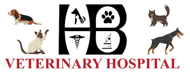 HB Vet Hospital | Huntington Beach Veterinary Hospital