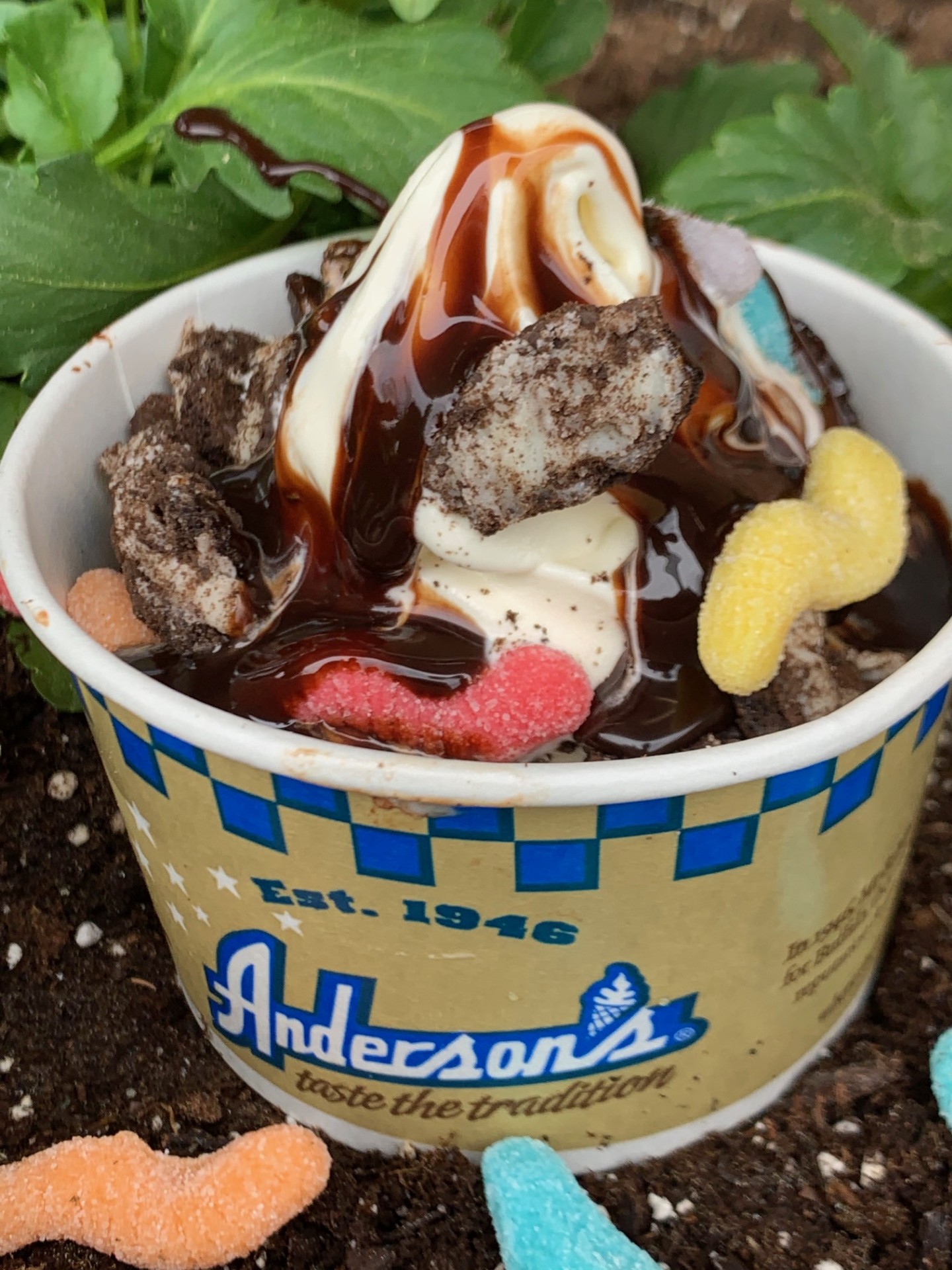 Anderson's Frozen Custard in Buffalo, NY