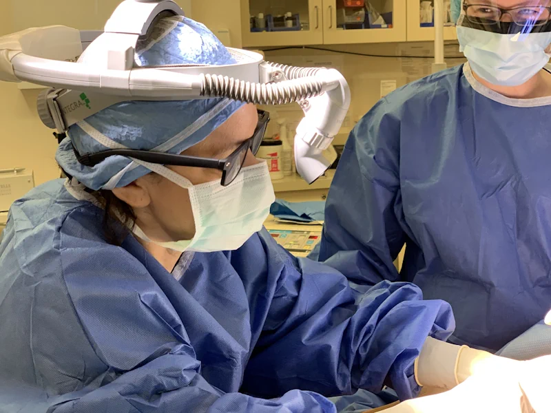 Exploring Non-Binary Surgery Options with Dr. Rodriguez