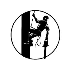 Welcome to The Berkeley Tree Company | London's Premier Tree Services