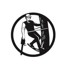 Welcome to The Berkeley Tree Company | London's Premier Tree Services