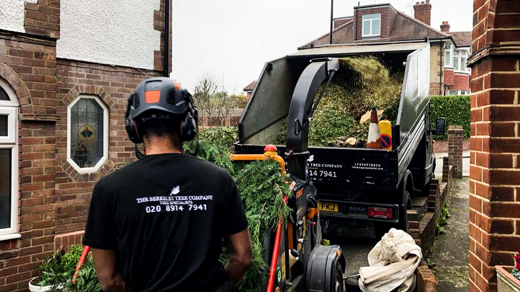 Welcome to The Berkeley Tree Company | London's Premier Tree Services