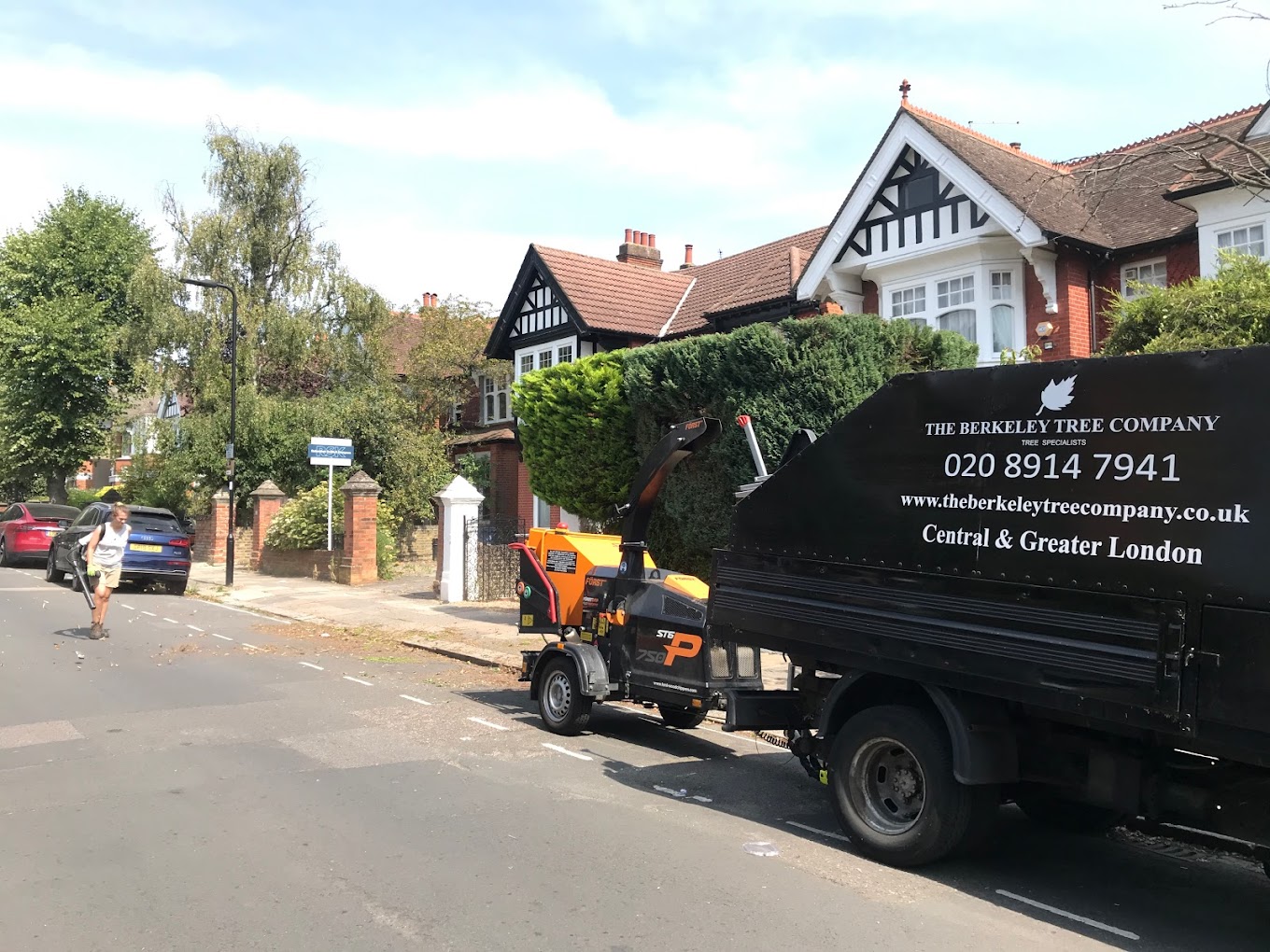 Welcome to The Berkeley Tree Company | London's Premier Tree Services