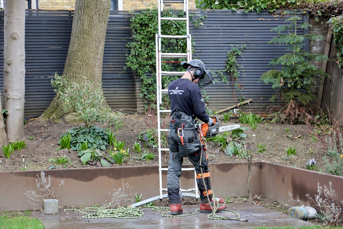 Welcome to The Berkeley Tree Company | London's Premier Tree Services
