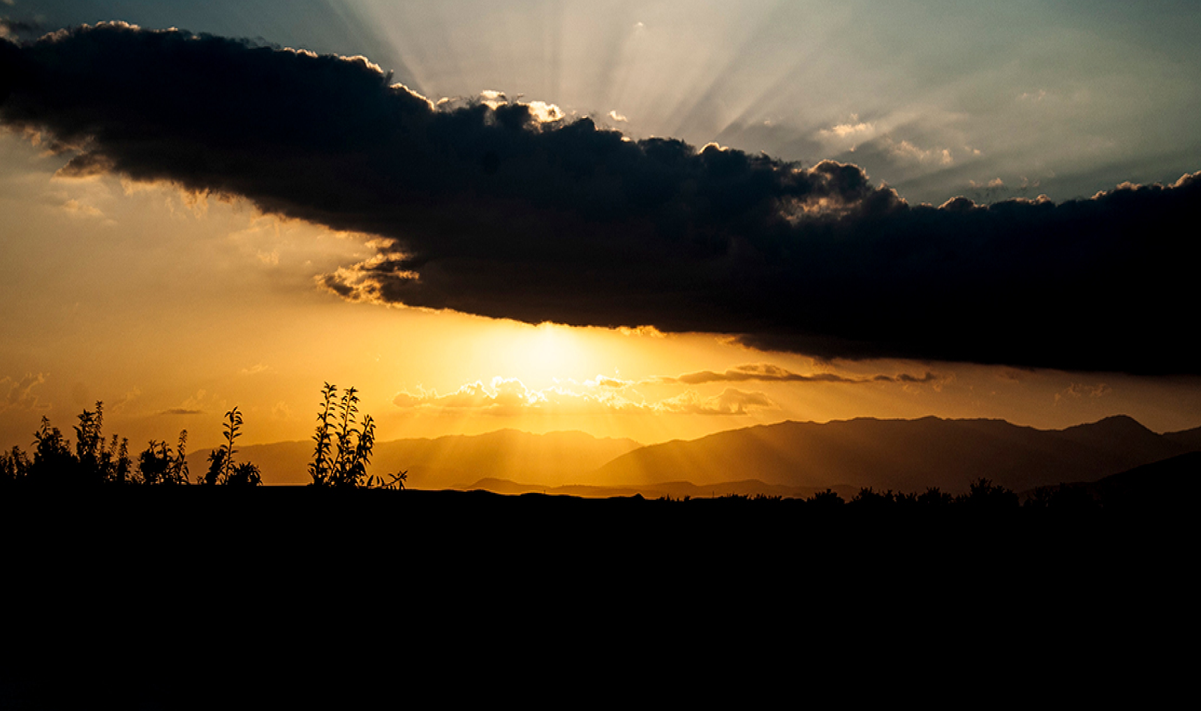 Eye Imagine Photography