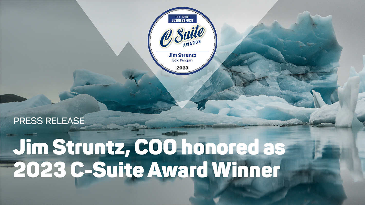 Bold Penguin COO Named 2023 C-Suite Award Winner By Columbus Business ...