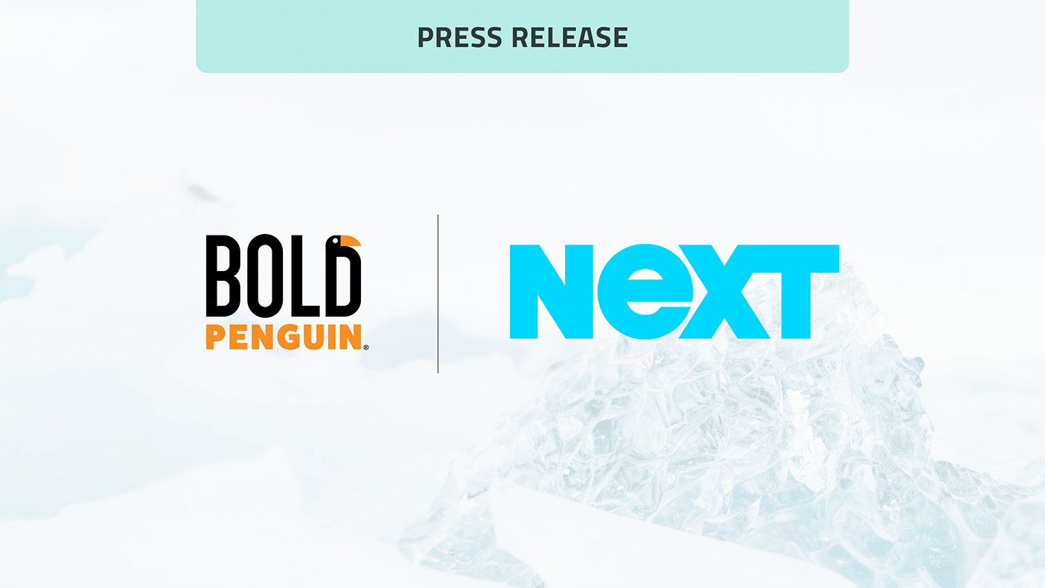 Bold Penguin Partners With NEXT Insurance To Expand Product Offerings ...