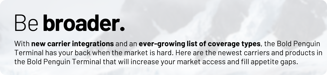 The Bold Brief - Volume 1, Issue 1 | Bold Penguin