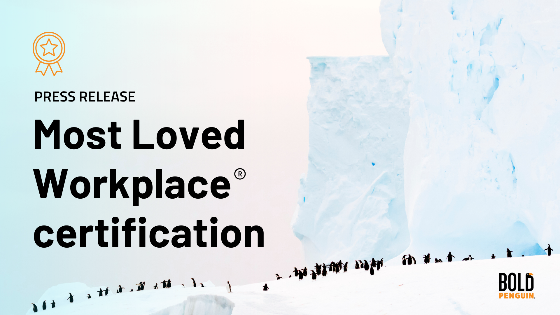 Bold Penguin announces certification as a 2024 Most Loved Workplace ...
