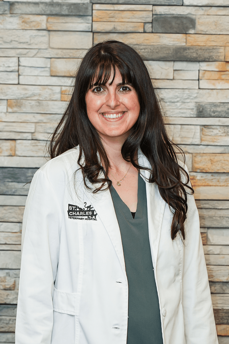 High-Quality Vet Hospital in Davenport, FL | St. Charles Veterinary ...