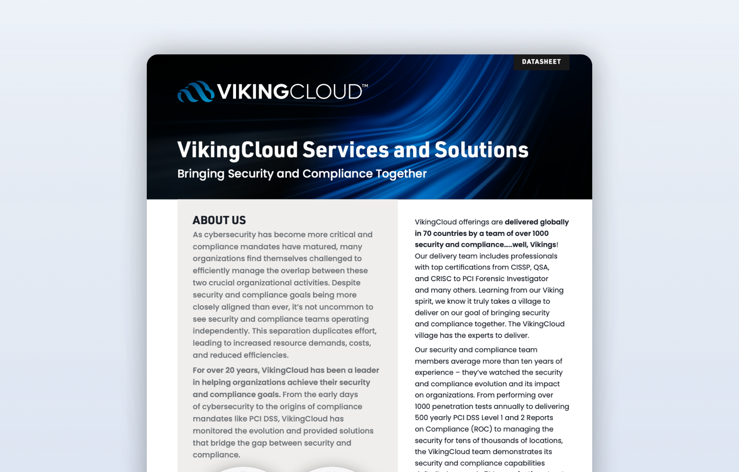 Cybersecurity & Compliance Solutions | VikingCloud