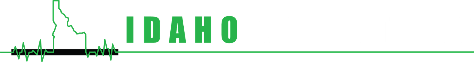 BusCop MIL-STD-1553B Cyber Security | Idaho Scientific