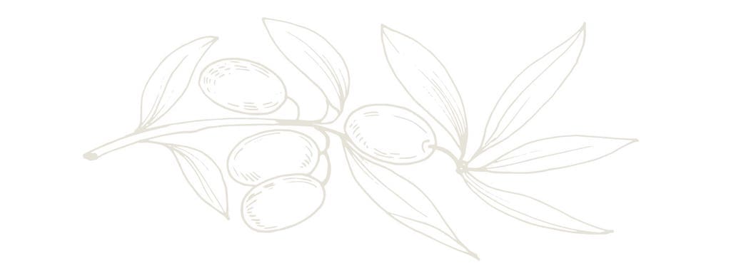 Olive and Lime Cafe - Mediterranean Cuisine & Bakery