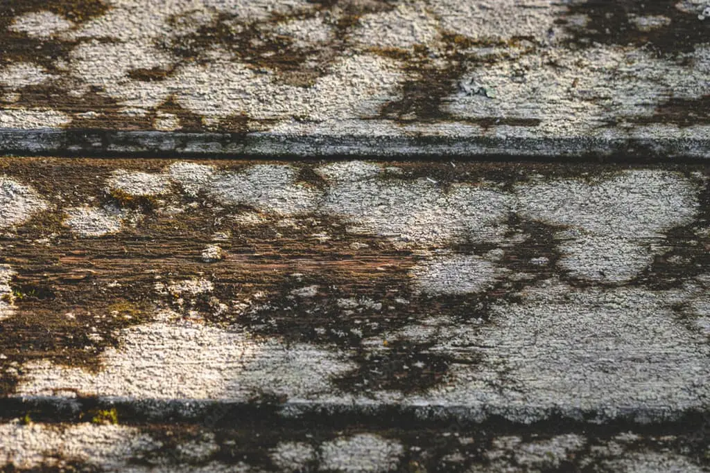 How to Repair Rotted Wood: a Step-by-Step Guide | Oahu Pro Painters