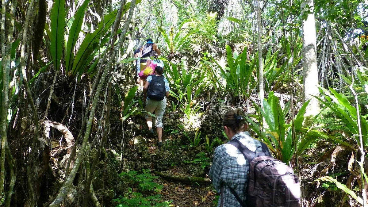 Atiu Eco-Adventure Anatakitaki Cave Tour: Hiking & Nature Exploration ...
