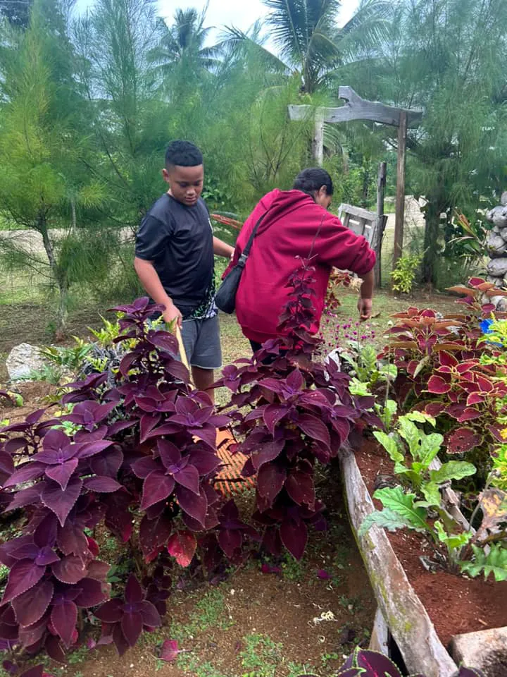 Experience Authentic Atiu Culture with Atiu Punarea Culture Tours in ...